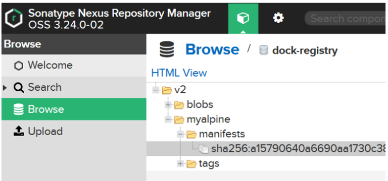 5 Steps to Setup a Nexus3 repository using Docker on Virtual Box ...